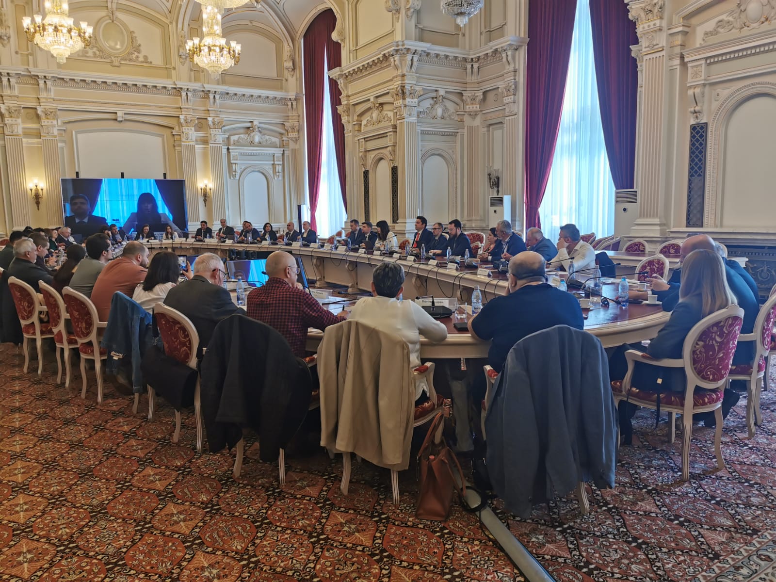 Dezbatere în Parlament privind dezvoltarea comunităților de energie în ...